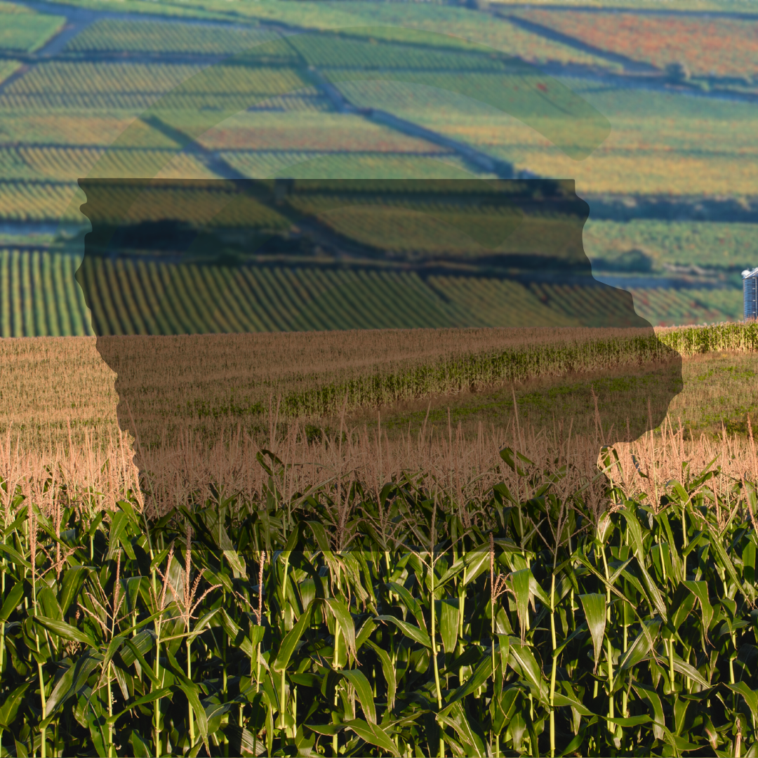 Sioux County 4-H to Celebrate National 4-H Week in October - Sioux ...