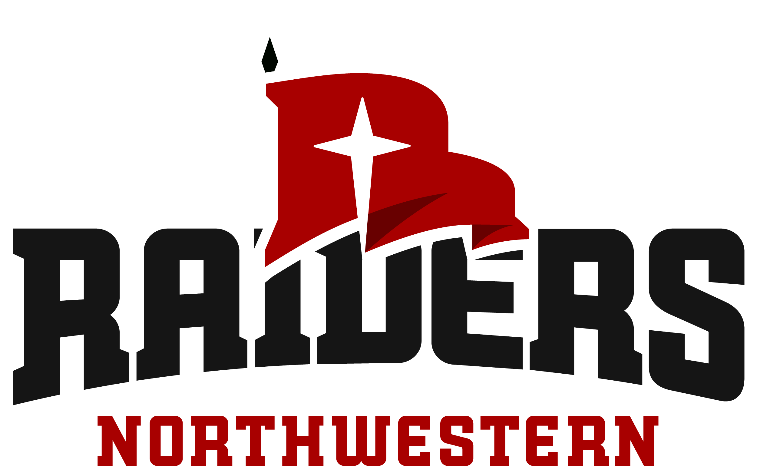 Northwestern to add women's wrestling in 2026 - Sioux County Radio